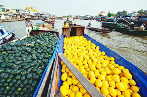 Cai Be floating market | Travel Sense Asia™ – Vietnam Tours, Laos Tours ...